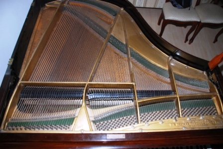 Piano soundboard - fancynored